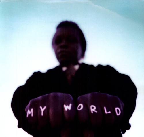 Lee Fields / And The Expressions: My World (Vinyl) - Real Groovy